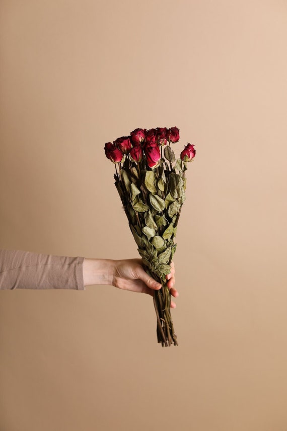 Dried Roses Natural Deep Red - Etsy