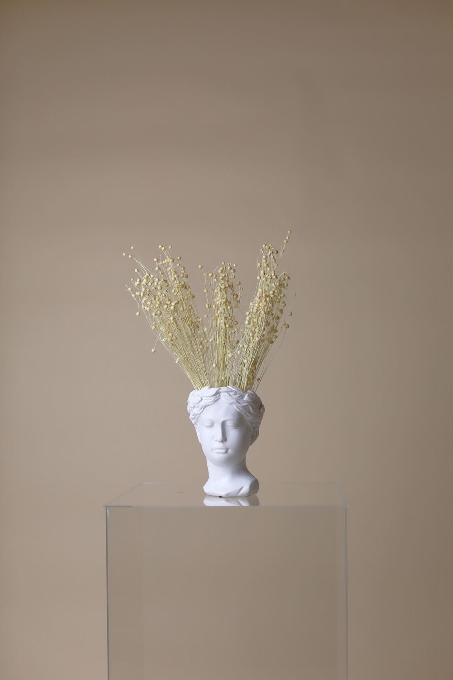 Dried Natural Linum / Dried Flax Seeds Pods / Wholesale Dried Flowers ...