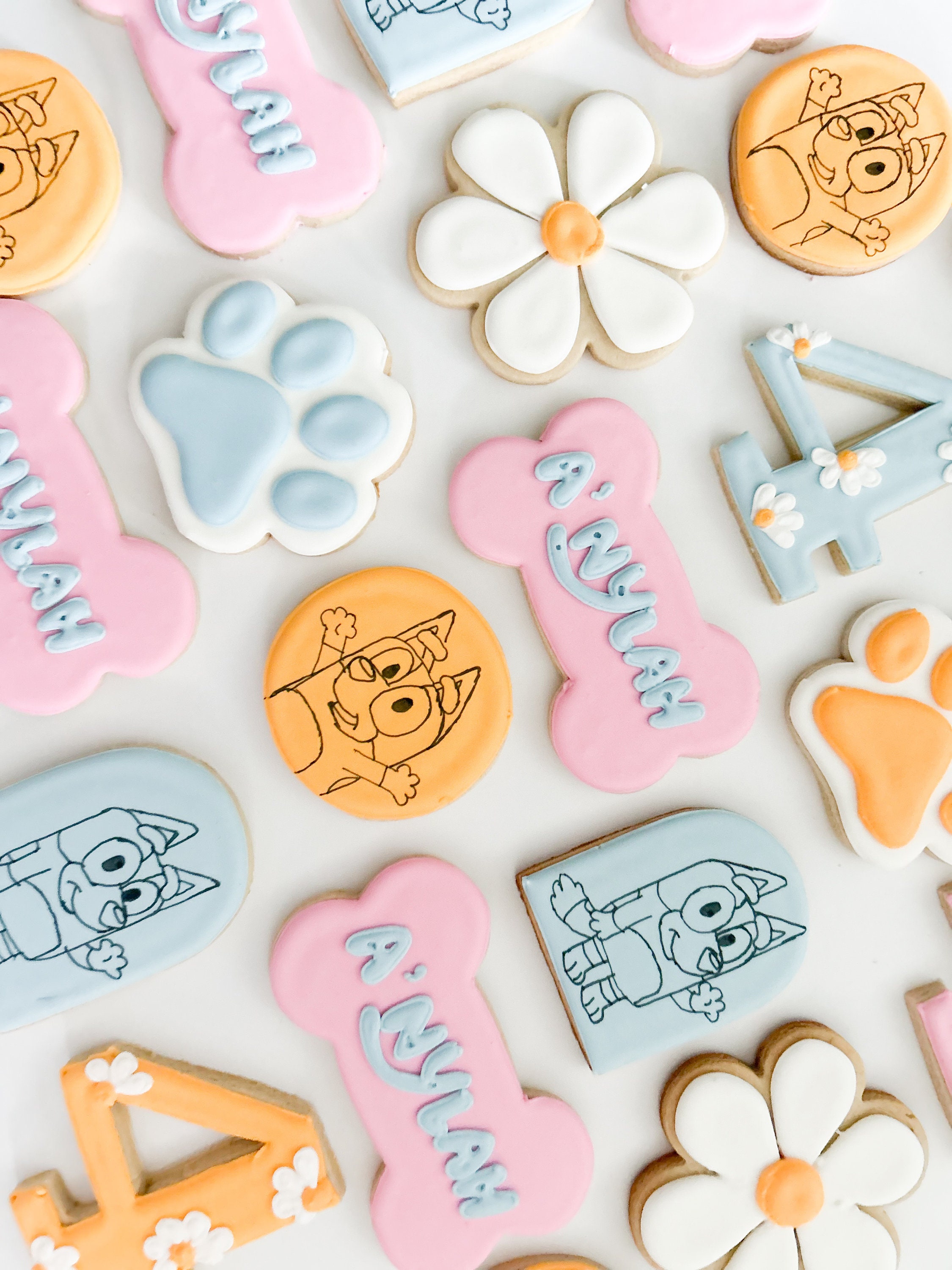 Bluey Royal Icing Cookies 1 Dozen - Etsy