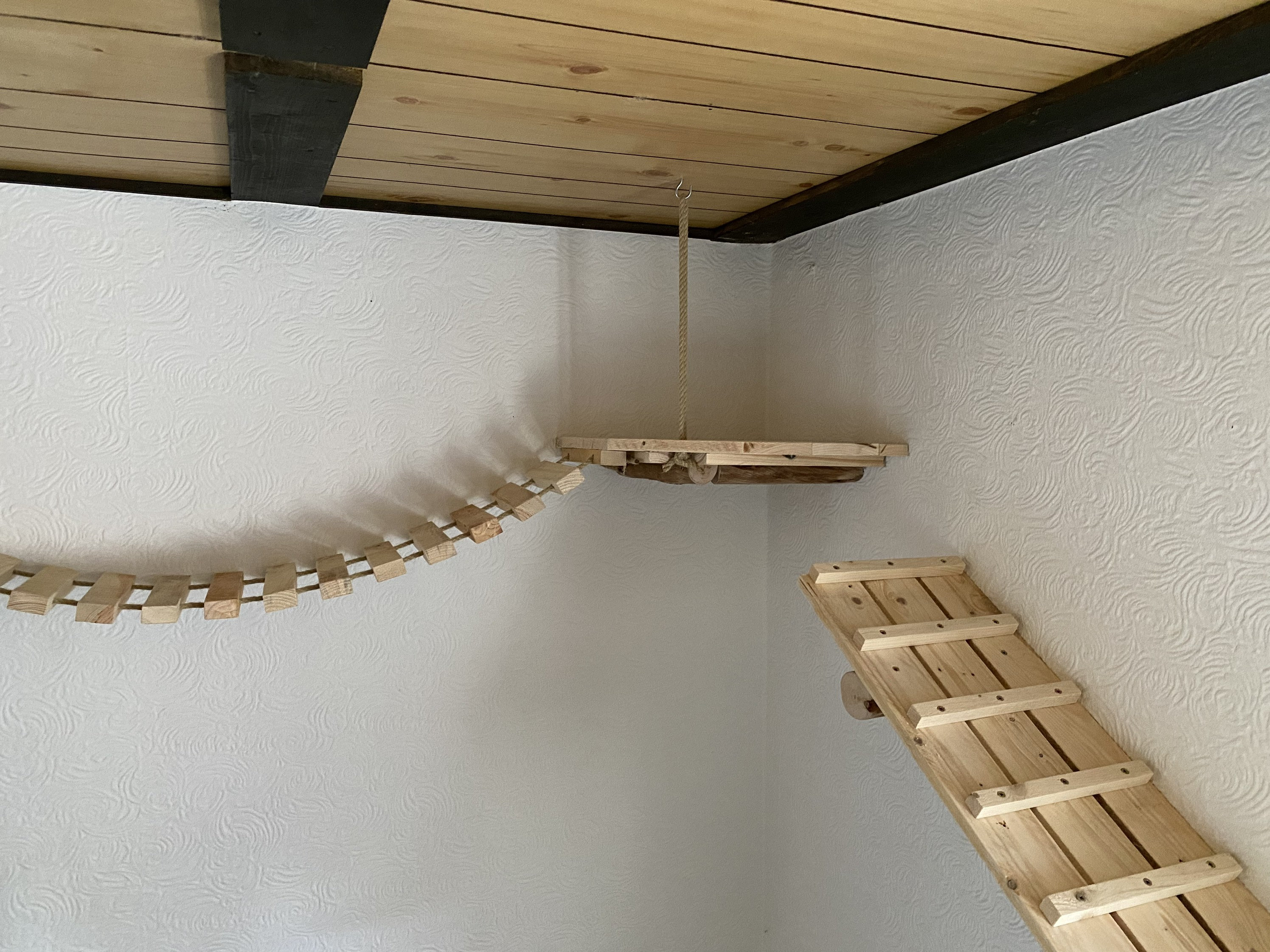 Cat Catwalk Climbing Wall Suspension Bridge Custom Made Etsy