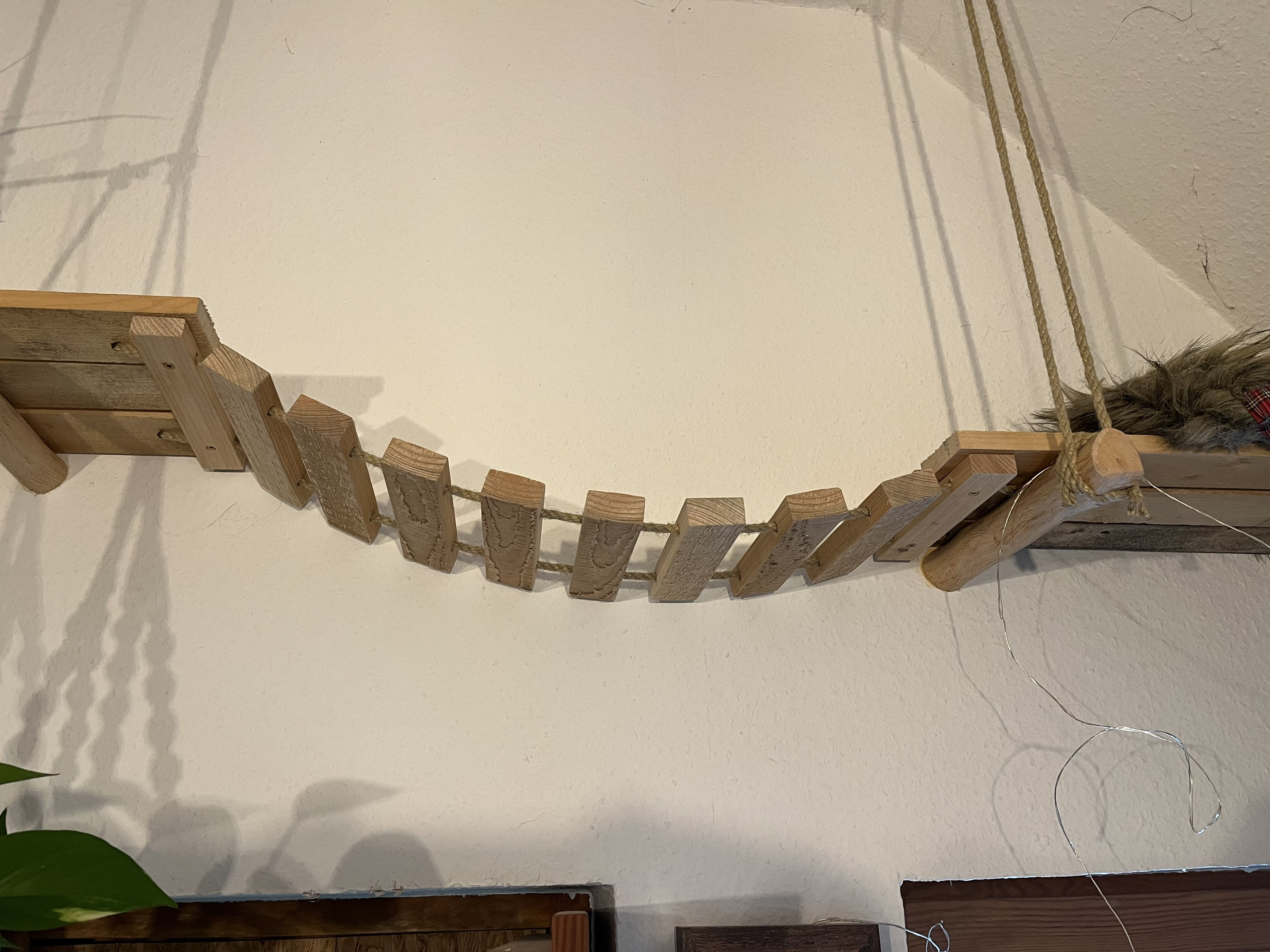 Cat Catwalk Climbing Wall Suspension Bridge Custom Made Etsy