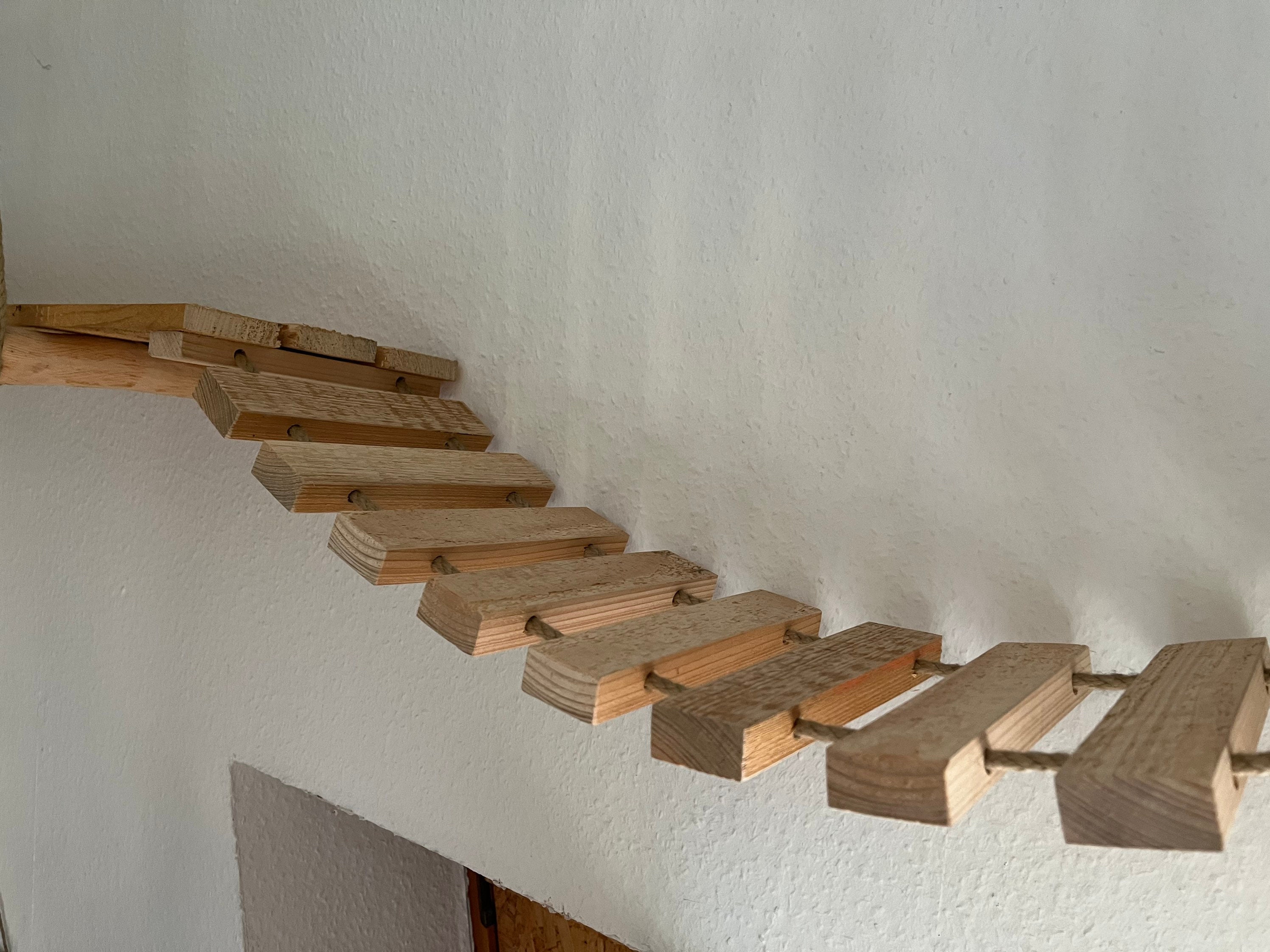 Cat Catwalk Climbing Wall Suspension Bridge Custom Made Etsy