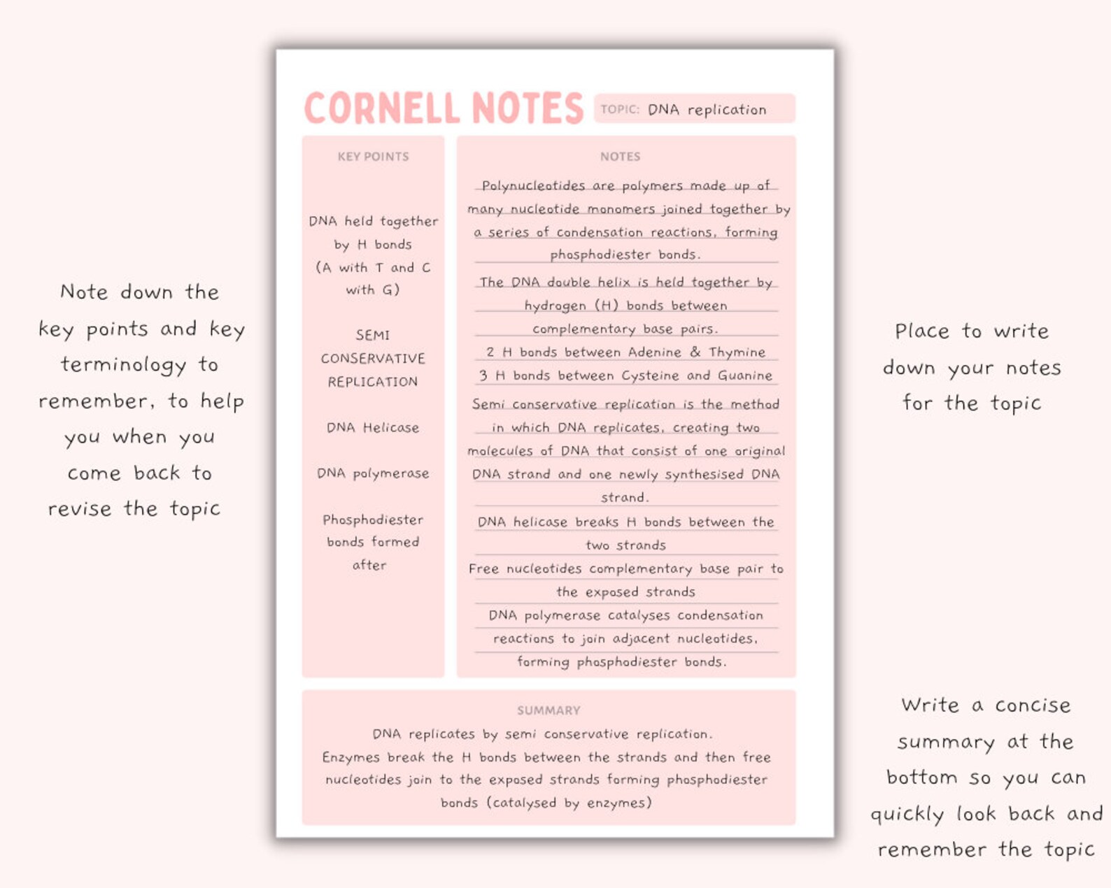Cornell Notes Study Template Revision Summary Notes Printable - Etsy