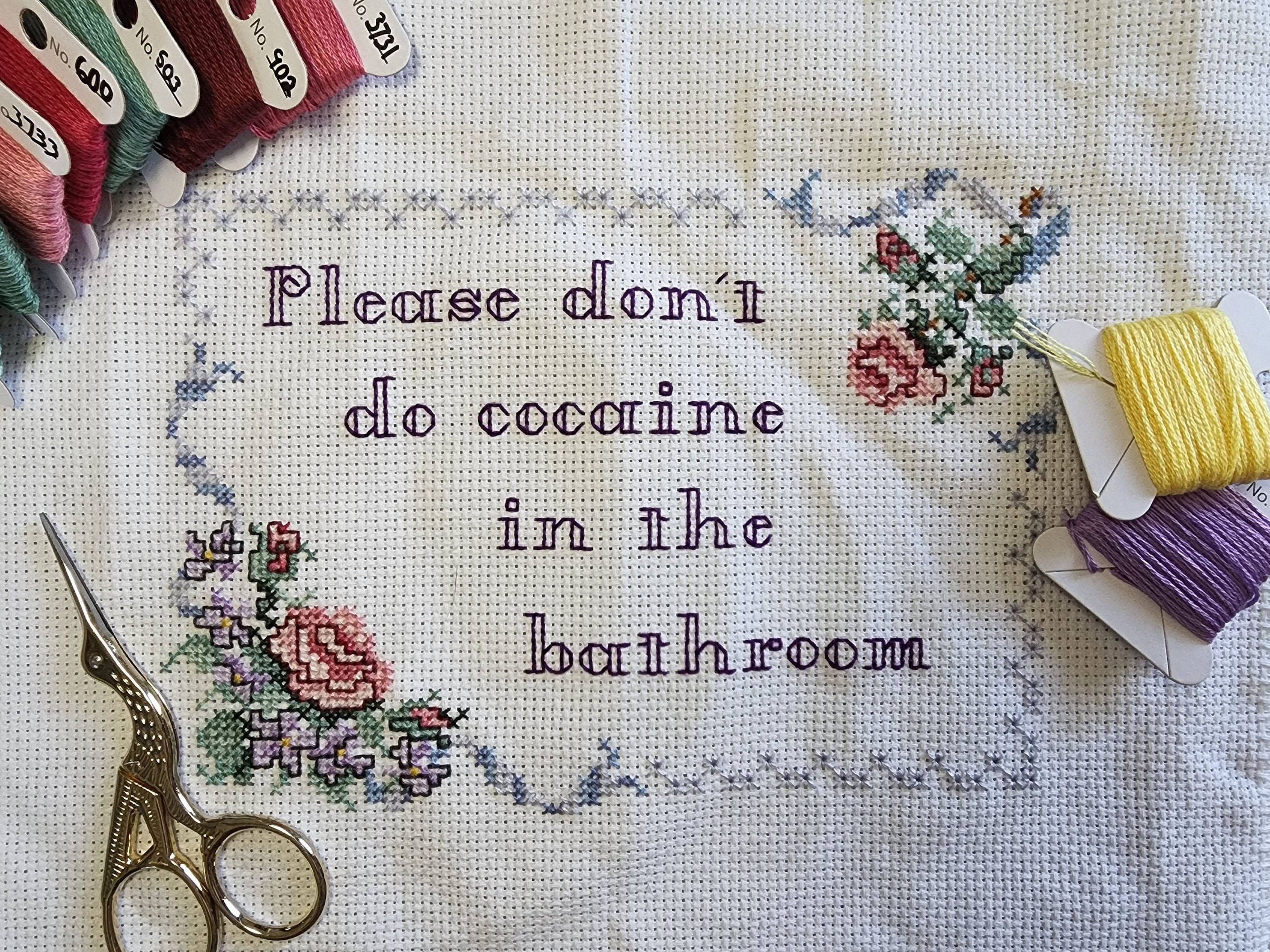 Please Don't Do Cocaine in the Bathroom PDF Cross Stitch Pattern, Subversive Funny Vintage Cross ...