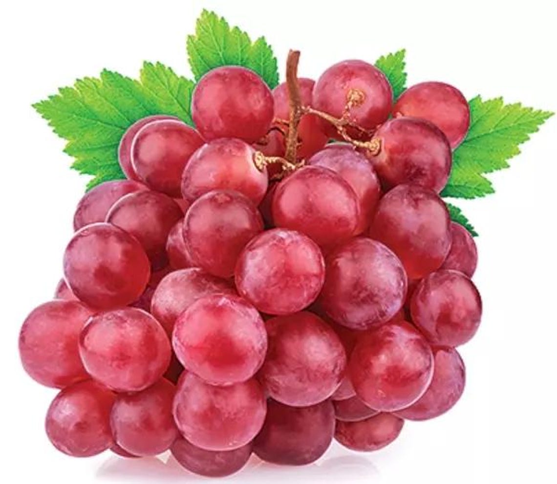 30+ Red Globe Grape Seeds (vitis Vinifera) ~ready to Plant ~fruit Vine ...