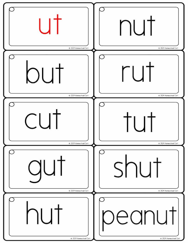 Short Vowel AEIOU Let's Read Key Ring Flashcards (words) - Etsy