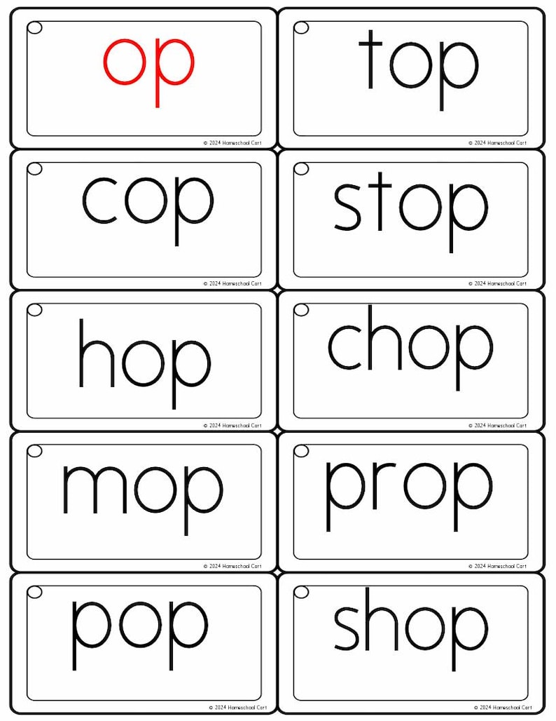 Short Vowel AEIOU Let's Read Key Ring Flashcards (words) - Etsy