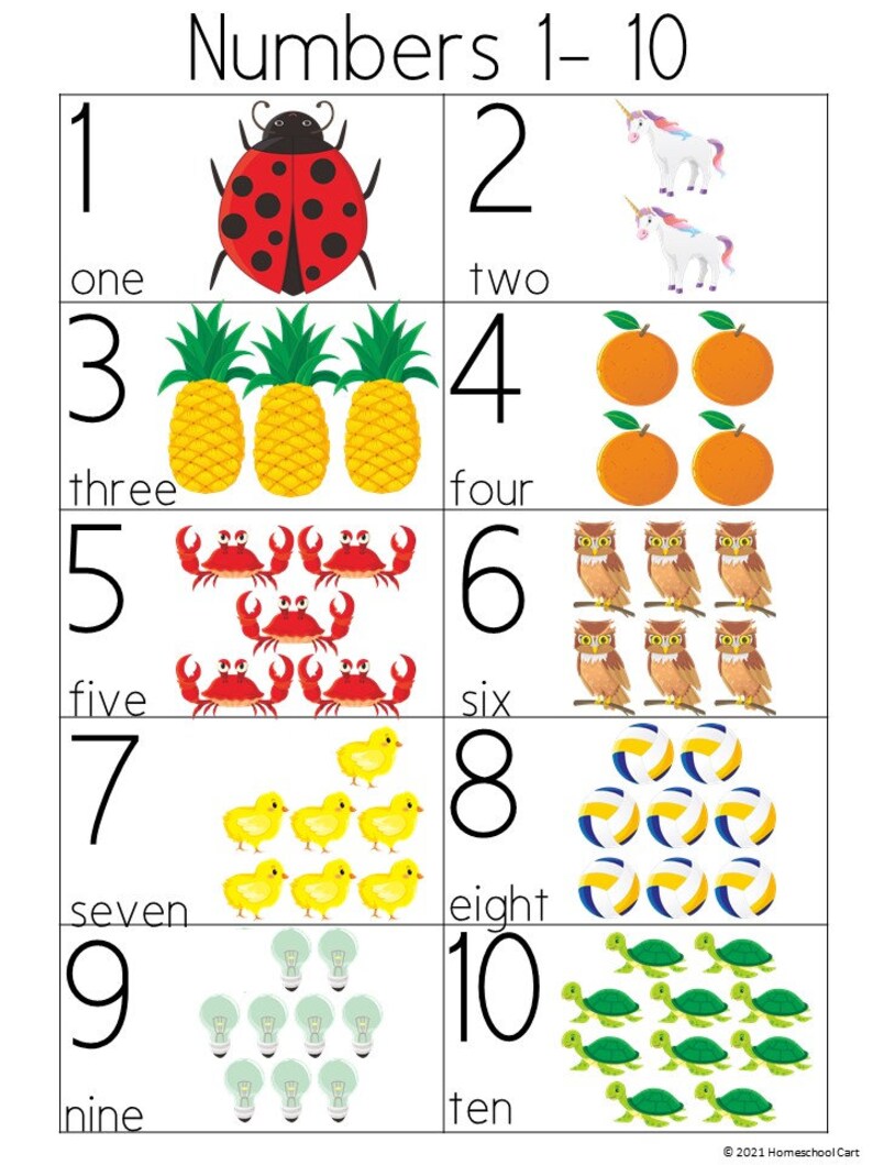Mastering Numbers 1 to 10 - Etsy