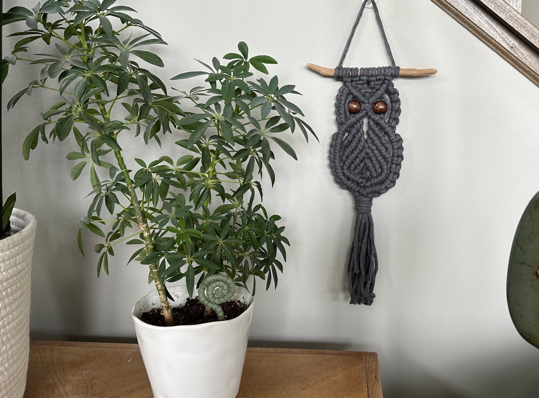 Macrame Owl Wall Hanging - Etsy