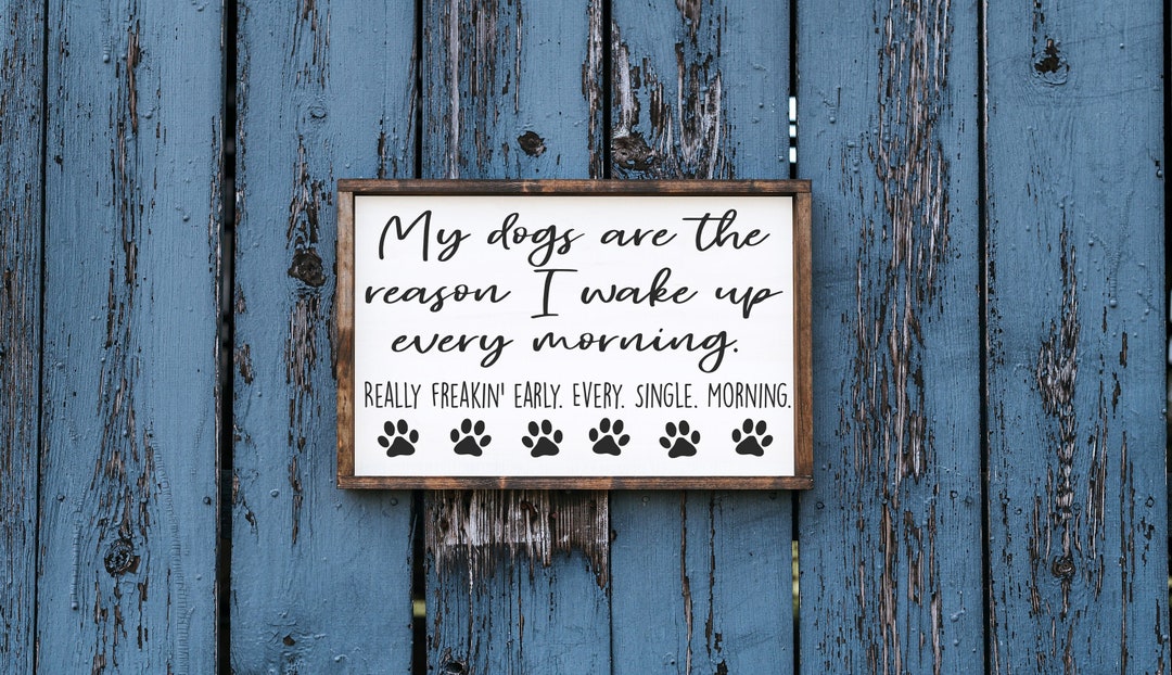 My Dogs Are the Reason I Wake up Every Morning - Really Freakin Early ...