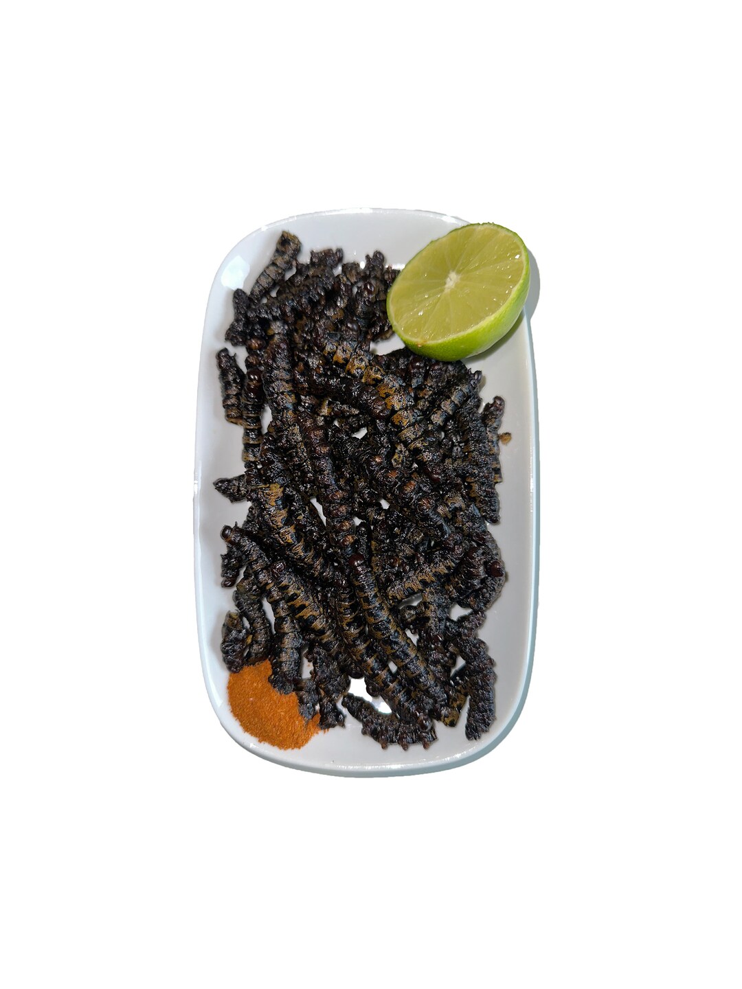 Chitoumou Chenilles Shea Caterpillar Burkina Faso - Etsy