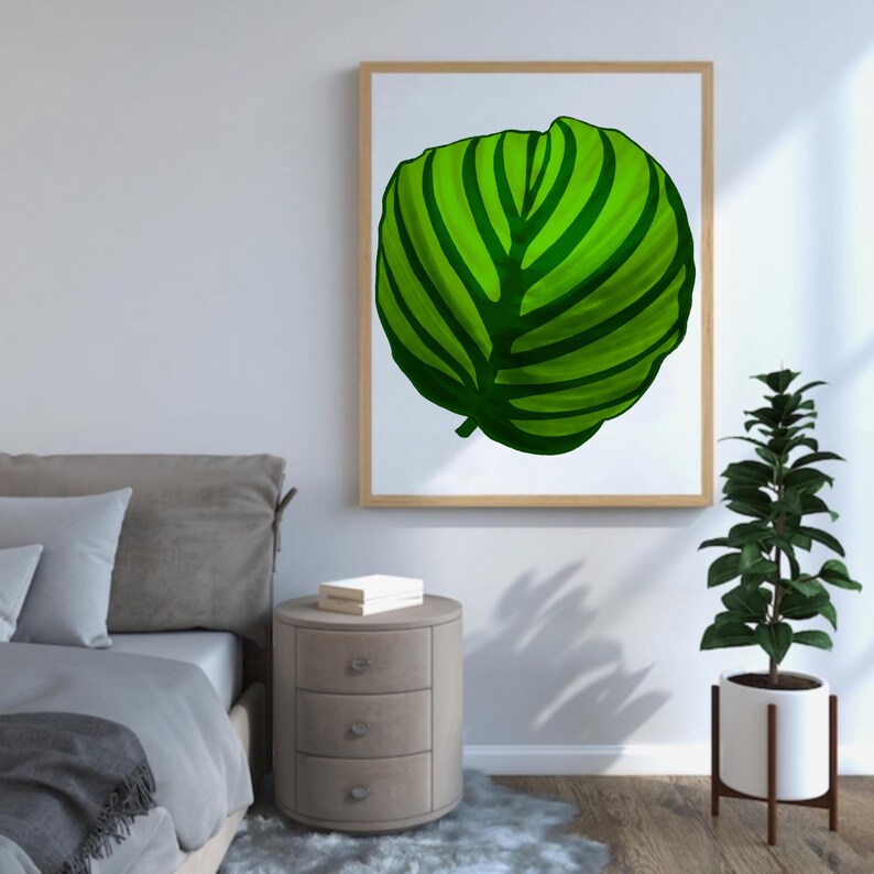 4K Watercolor Calathea Orbifolia Leaf Clipart PNG - Etsy