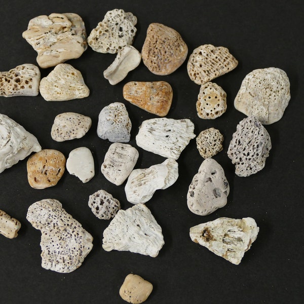 Mosaic Shards - Etsy