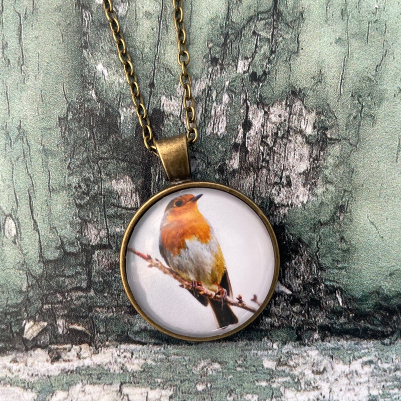 Red Robin Bird - Etsy