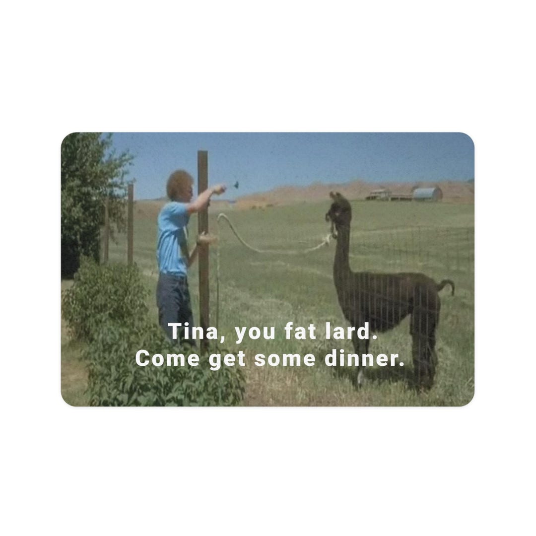 Tina, You Fat Lard. Come Get Some Dinner. Pet Food Mat 12x18. Funny ...