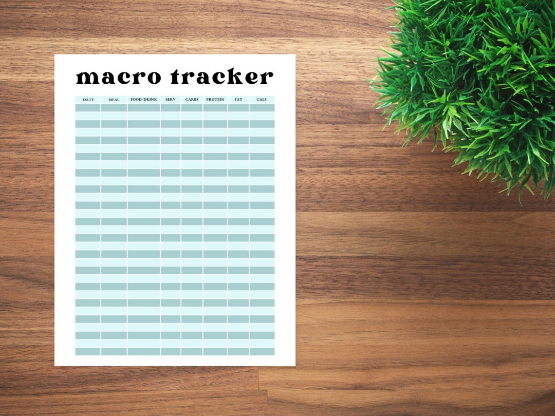 Printable Macro Tracker Daily Food Log Printable Planner Insert ...