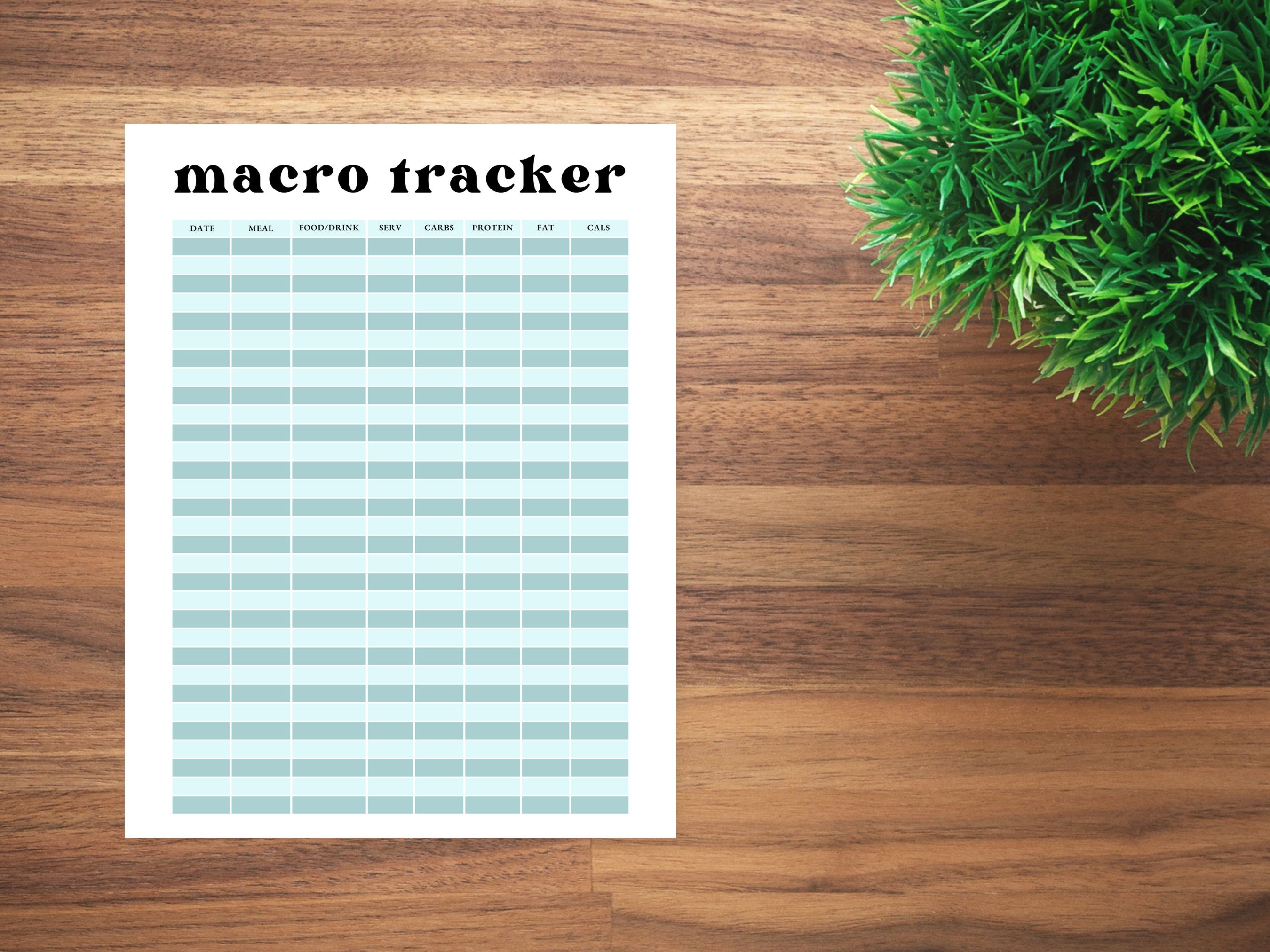Printable Macro Tracker Daily Food Log Printable Planner Insert ...