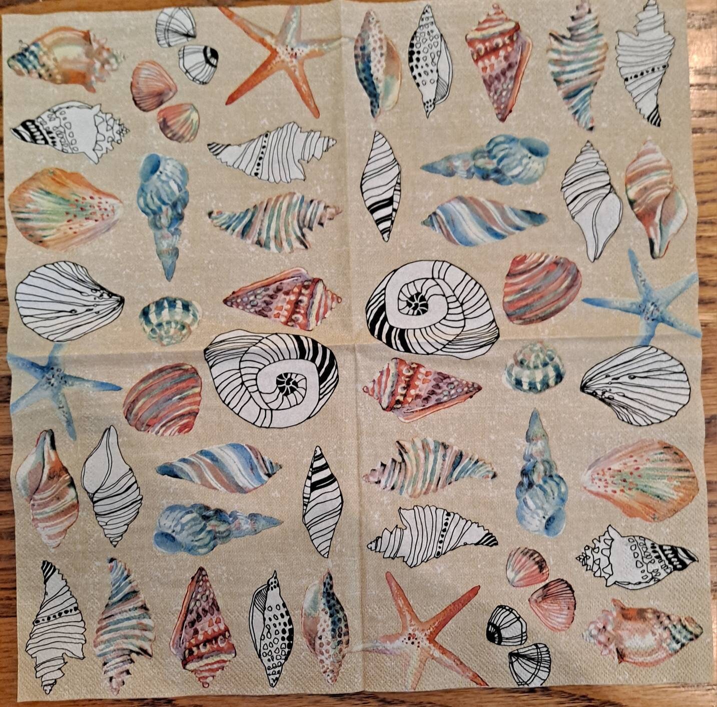 Sea Shell Napkins, Paper Napkins, Ocean Theme, 3 Ply, 13x13-in, German ...