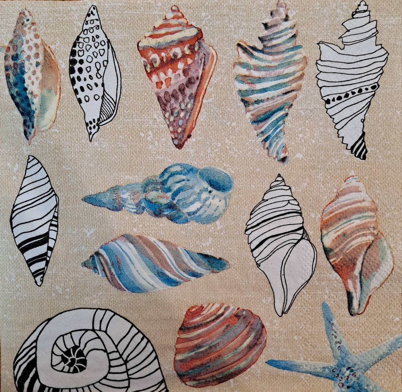 Sea Shell Napkins, Paper Napkins, Ocean Theme, 3 Ply, 13x13-in, German ...