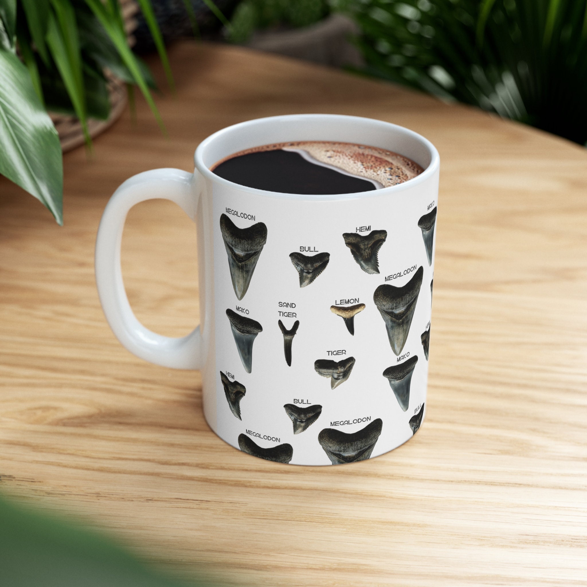 Shark Tooth Identification Ceramic Mug 11oz - Megalodon - Shark Teeth ...