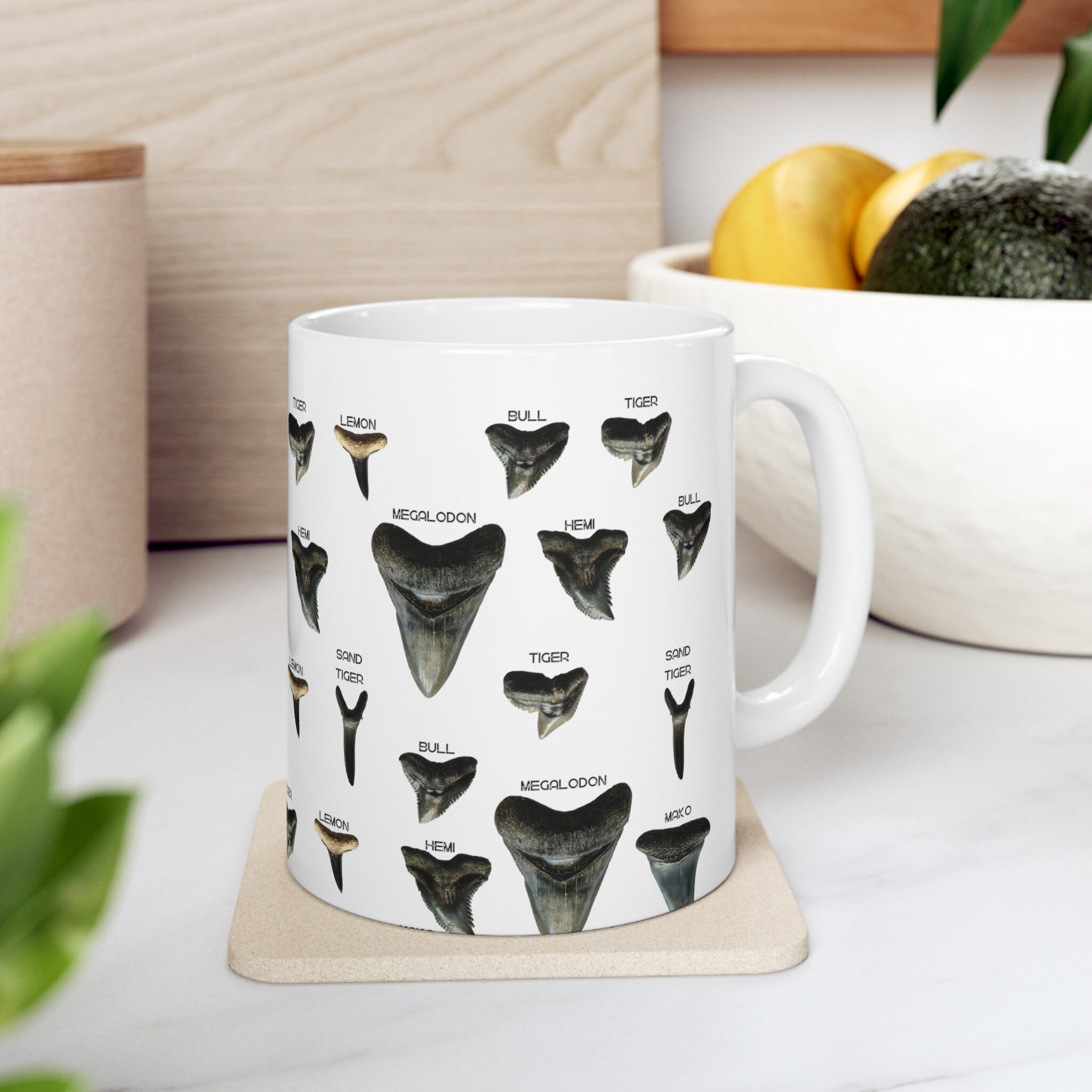 Shark Tooth Identification Ceramic Mug 11oz Megalodon - Etsy