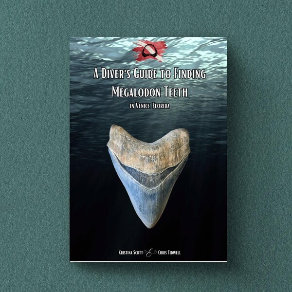 Venice Fossil - Etsy