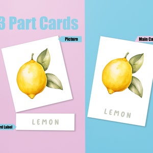 20 Printable Watercolor FRUIT Flashcards, 20 Montessori Flash Cards ...