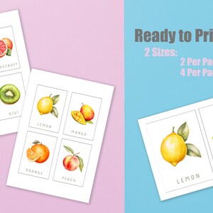 20 Printable Watercolor FRUIT Flashcards, 20 Montessori Flash Cards ...