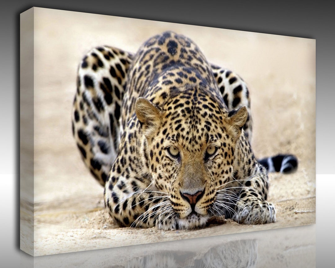Leopard Attack Canvas Wall Decor Wild Life Leopard Canvas Decor Nature ...