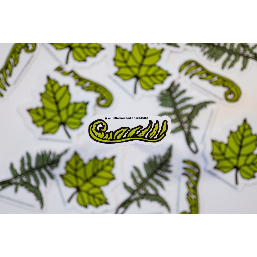 Fern Slap Sticker 02 - Etsy