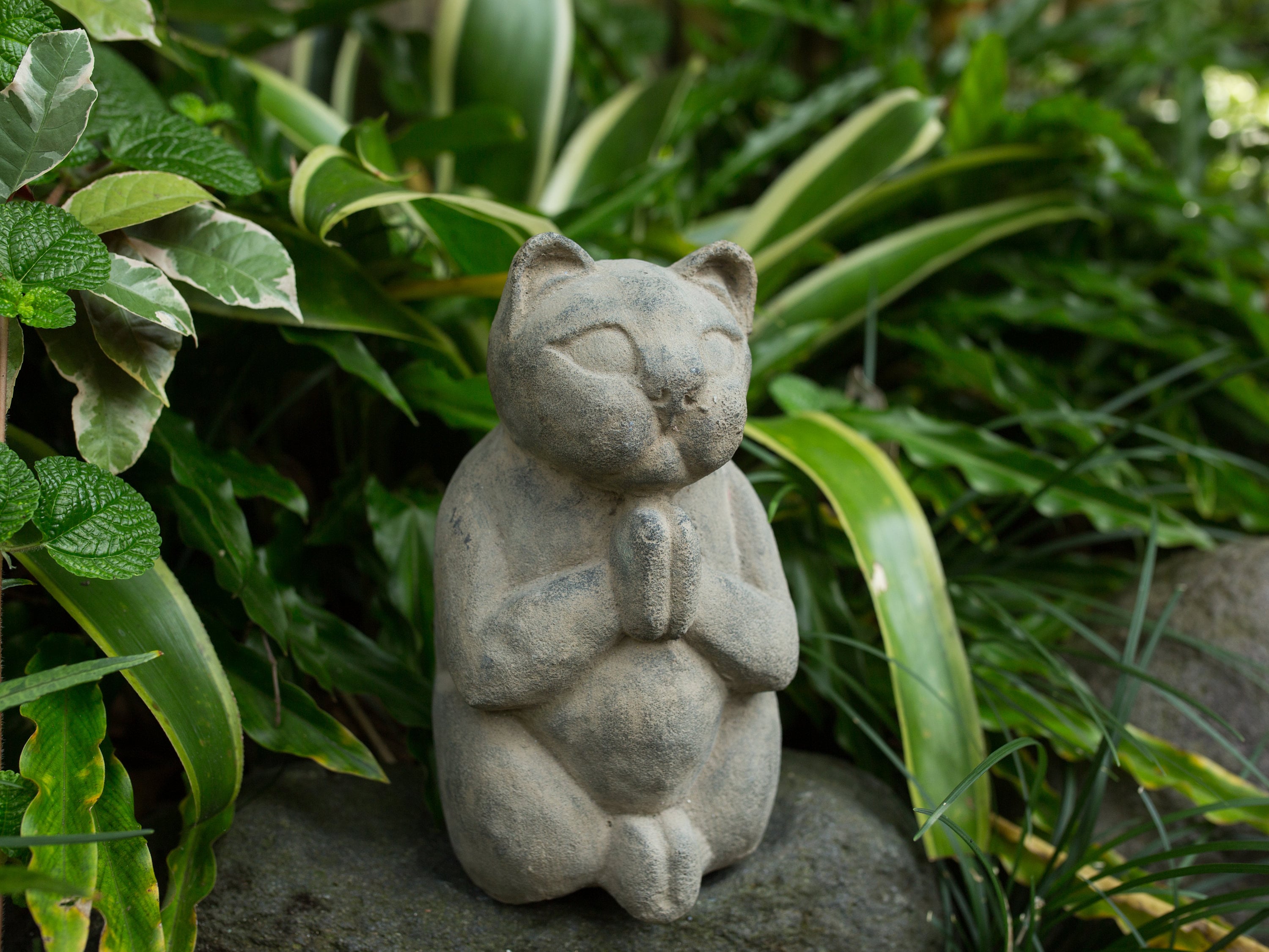 Praying Cat Figure Sculpture, Buddha Cat, Cute Cat, Solid Concrete ...