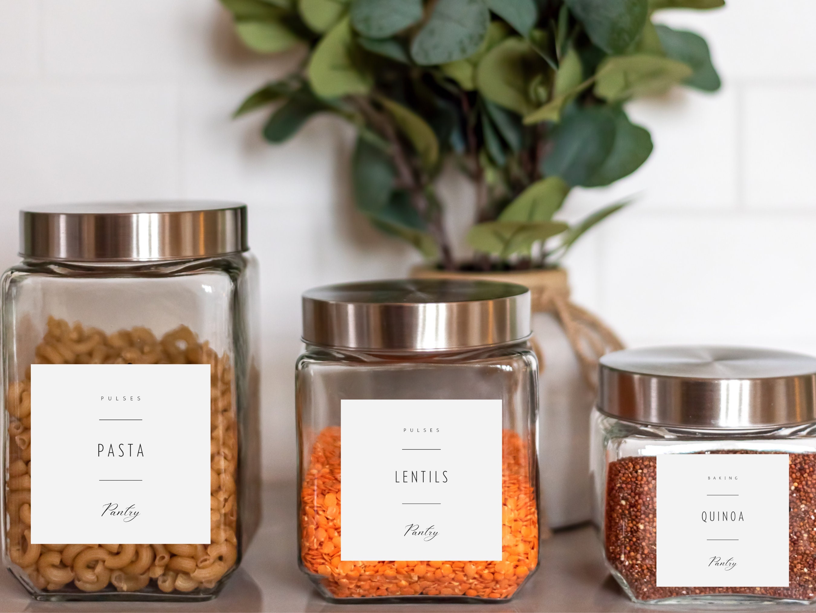 Pantry Labels Templates, Minimalist Design, Print and Cut Sheets ...