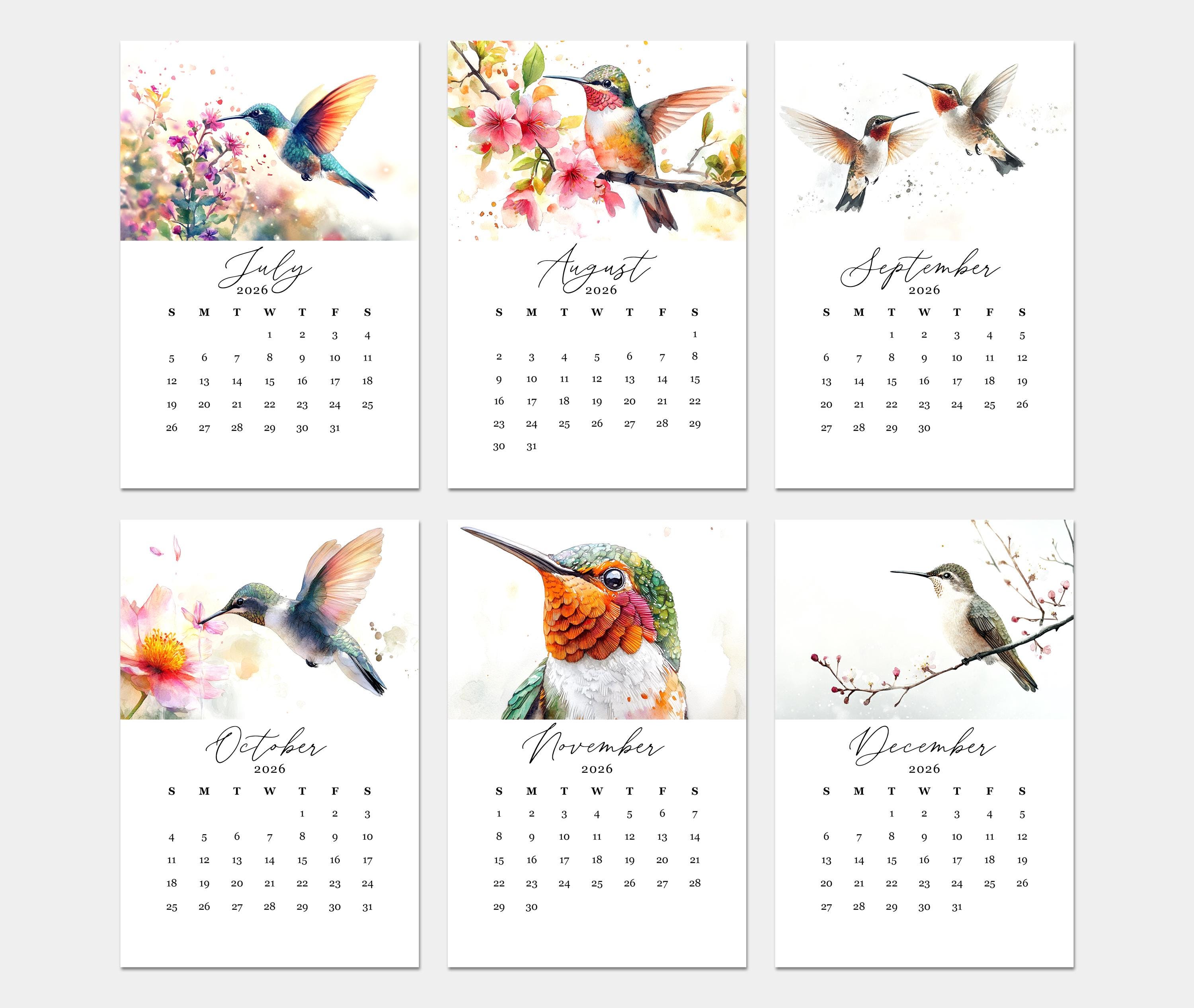 2026 Hummingbird Calendar • Watercolor Bird Art • Nature Desk Calendar ...