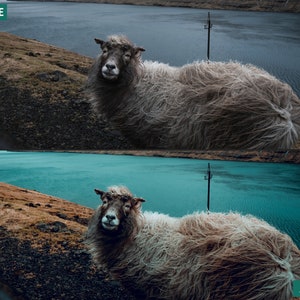 Teal Land Lightroom Preset Pack desktop Mobile - Etsy