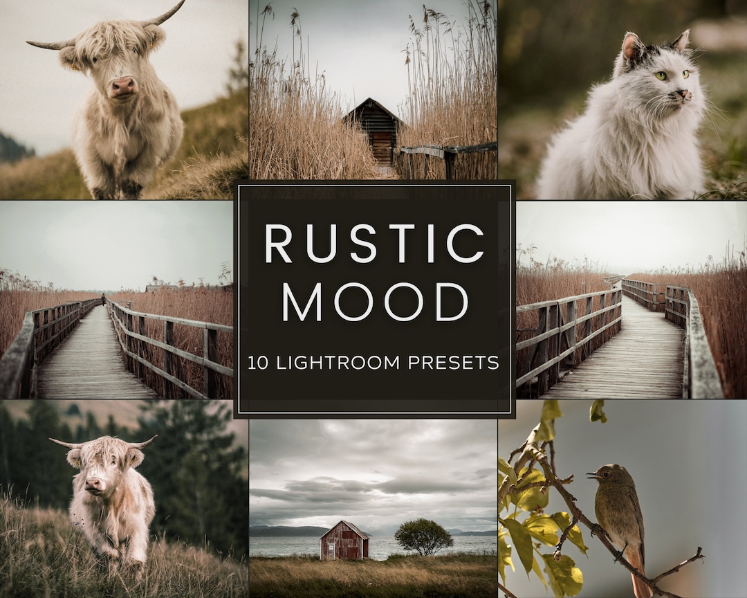 Rustic Mood Lightroom Preset Pack (desktop + Mobile) - Etsy