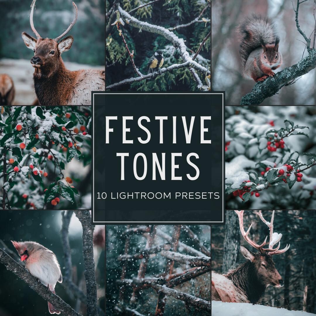 Festive Tones Lightroom Preset Pack (desktop + Mobile) - Etsy