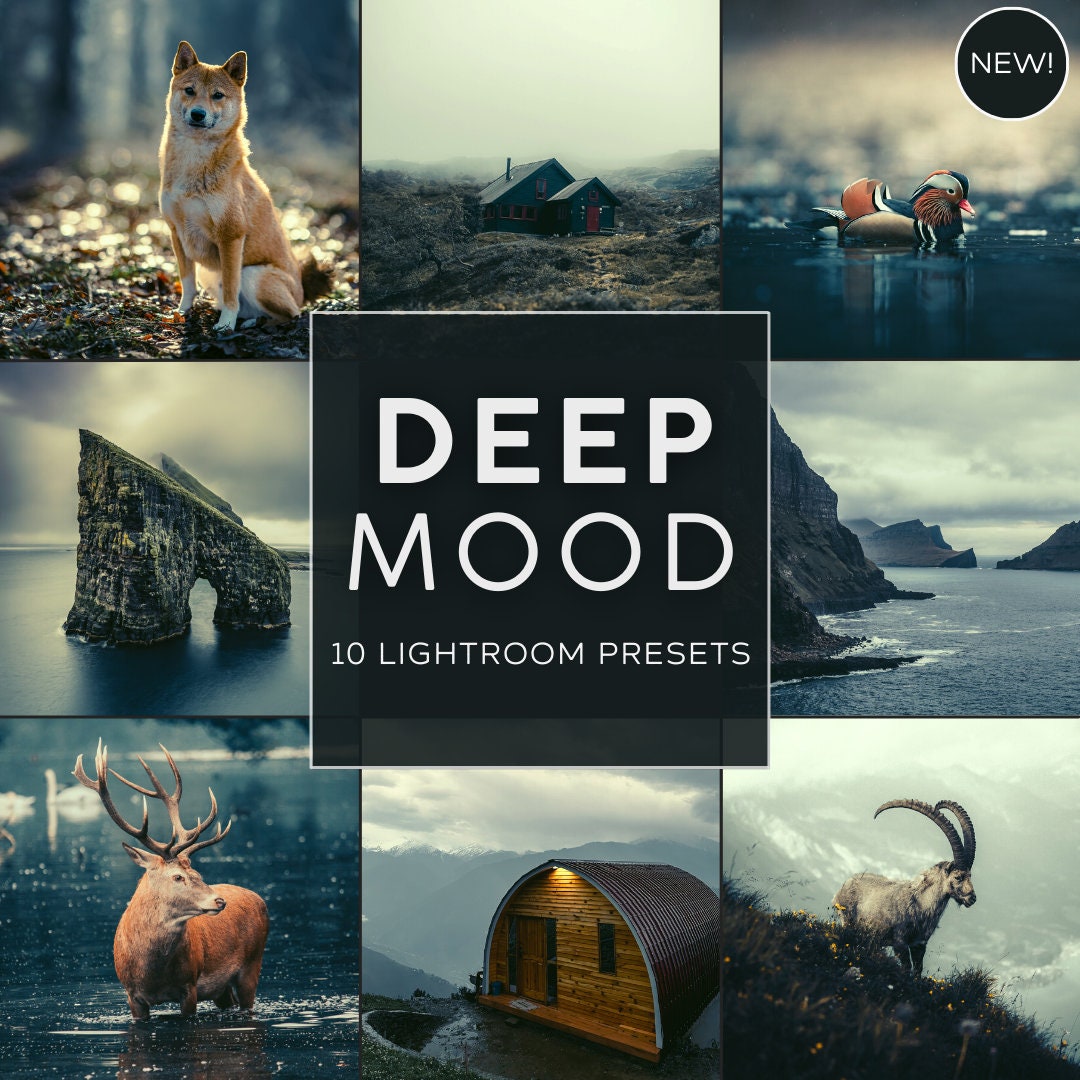 Deep Mood Lightroom Preset Pack (desktop + Mobile) - Etsy