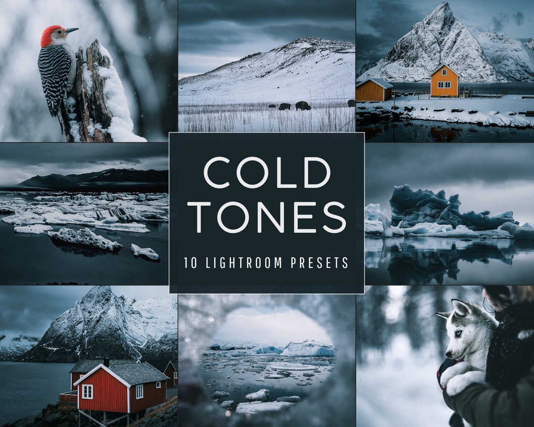 Cold Tones LIMITED Lightroom Preset Pack (desktop + Mobile) - Etsy