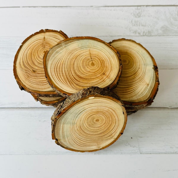 Wooden Rounds - Etsy