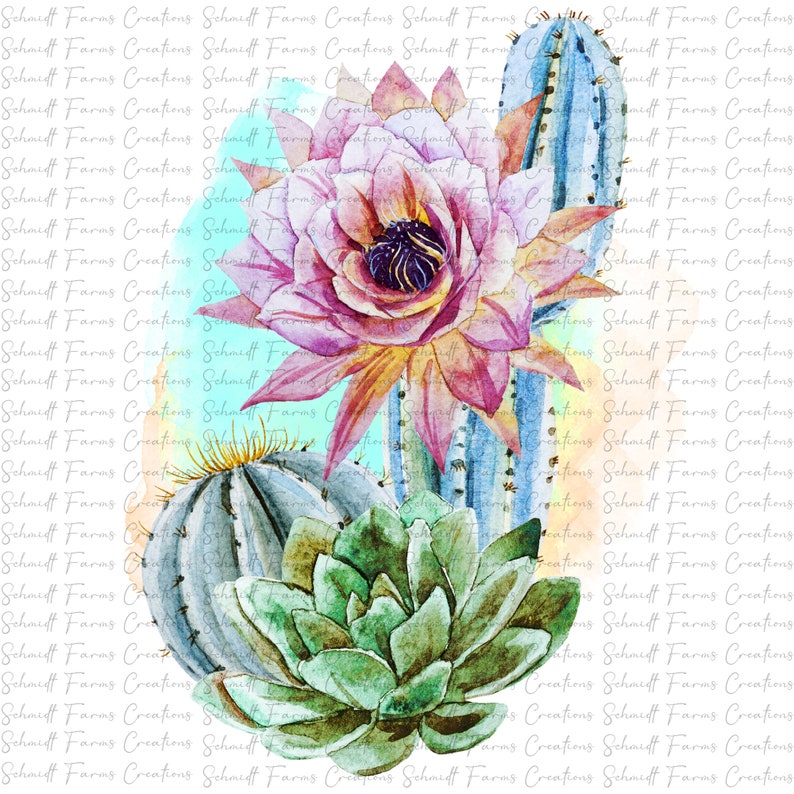Watercolor Cactus, PNG, Digital Download, Western, Desert, Cactus - Etsy