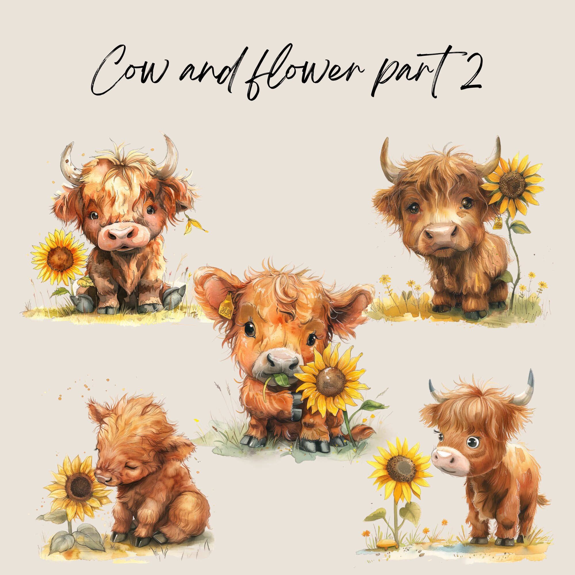 Baby Highland Cow Sunflower PNG Watercolor Sunflower Highland Cows ...