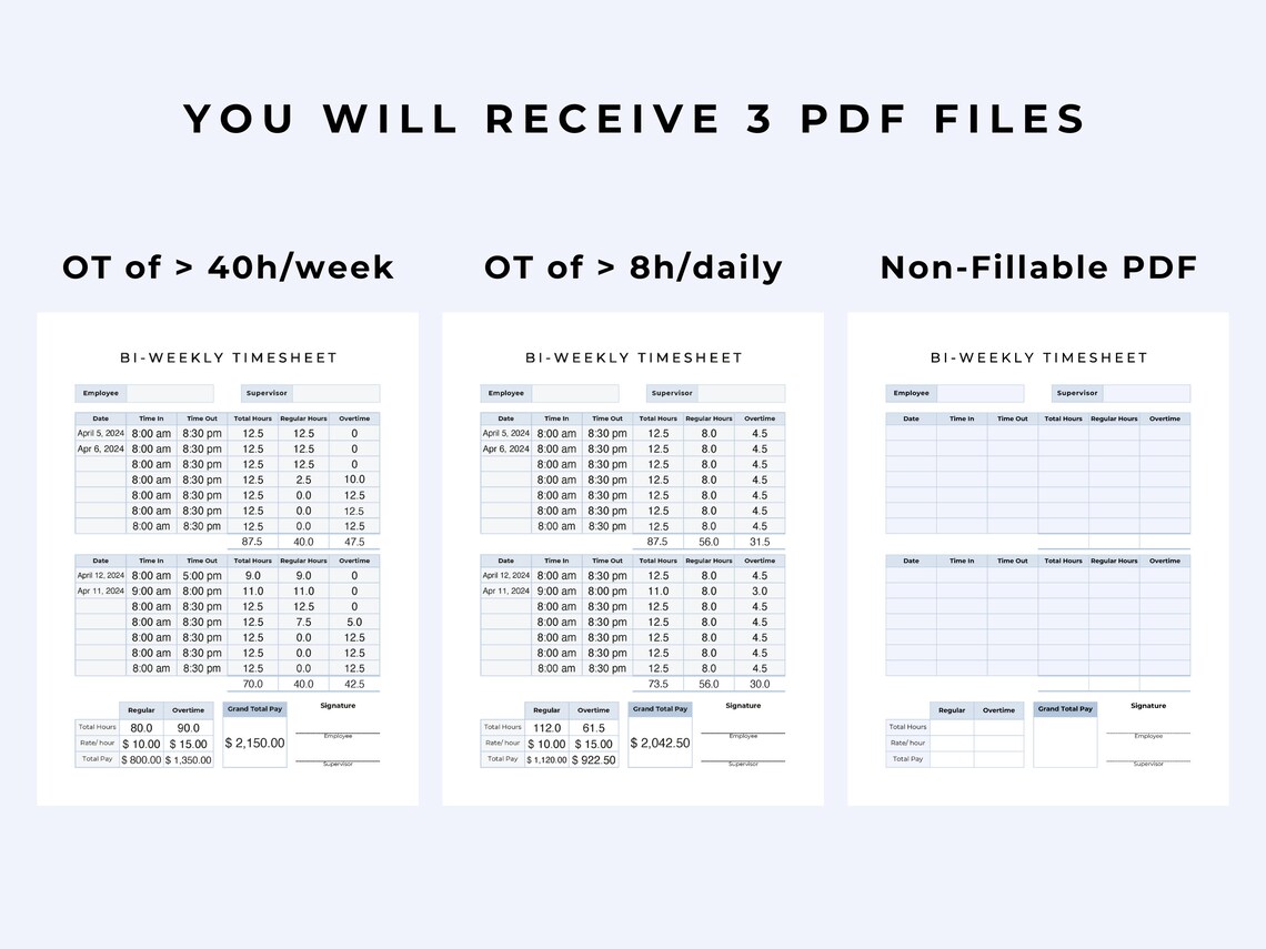 Biweekly Timesheet Template Self Calculating PDF Time Tracker Work ...