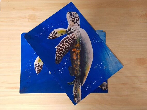Turtle Art Print A4 Turtle Picture Turtle Image Gift for Sea | Etsy