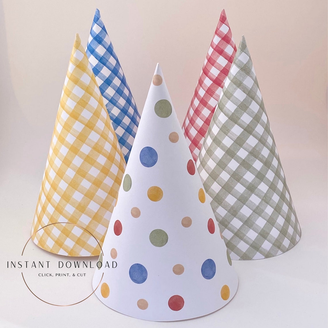 Farm Theme Matching Party Hat, Set of 5 Watercolor Gingham and Polka ...