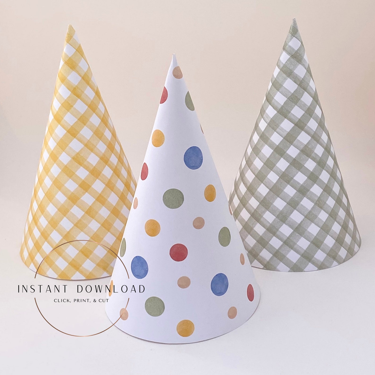 Farm Theme Matching Party Hat, Set of 5 Watercolor Gingham and Polka ...