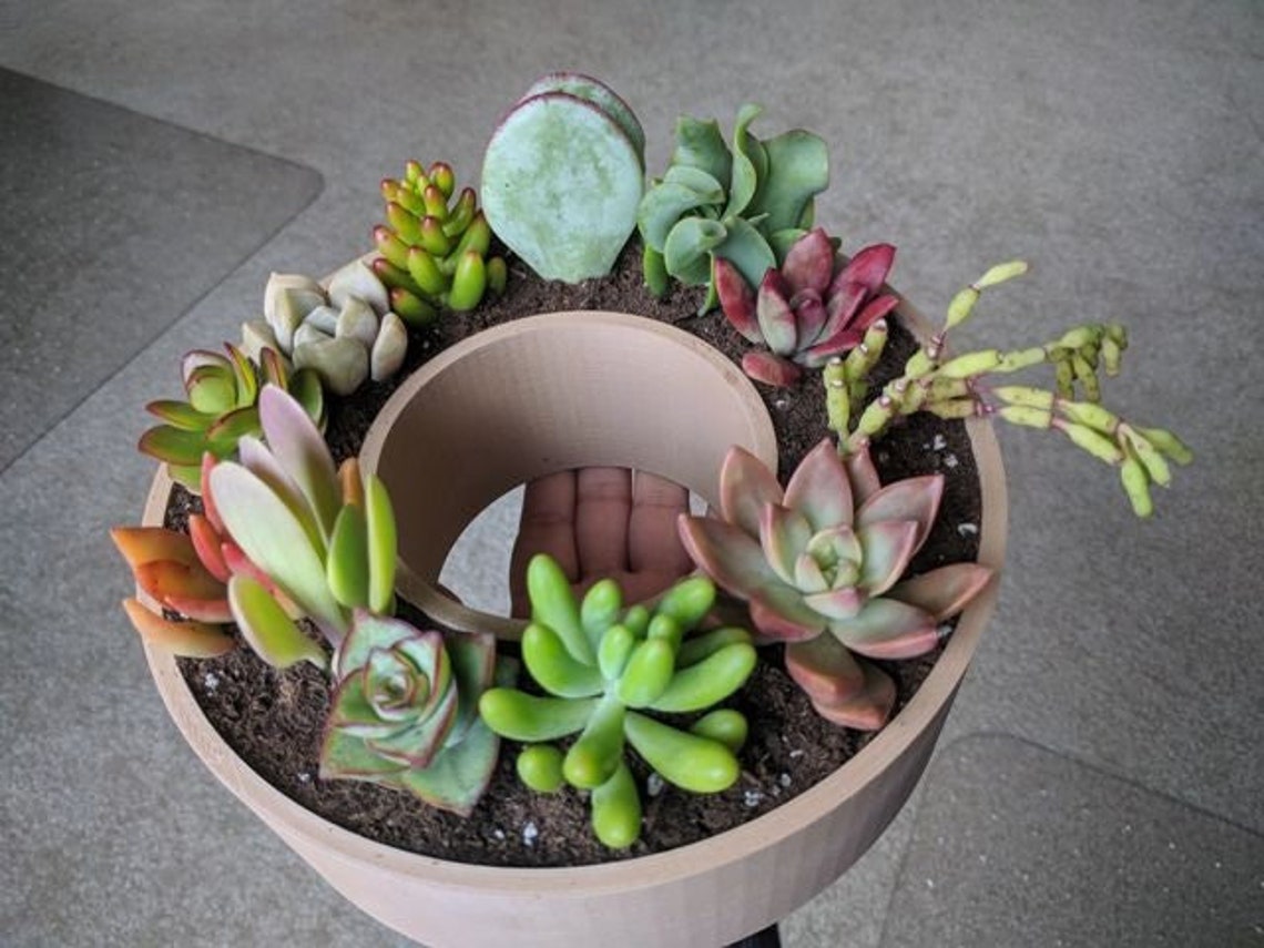 Donut Succulent Pot Succulent Pots Planter Pots Cute | Etsy