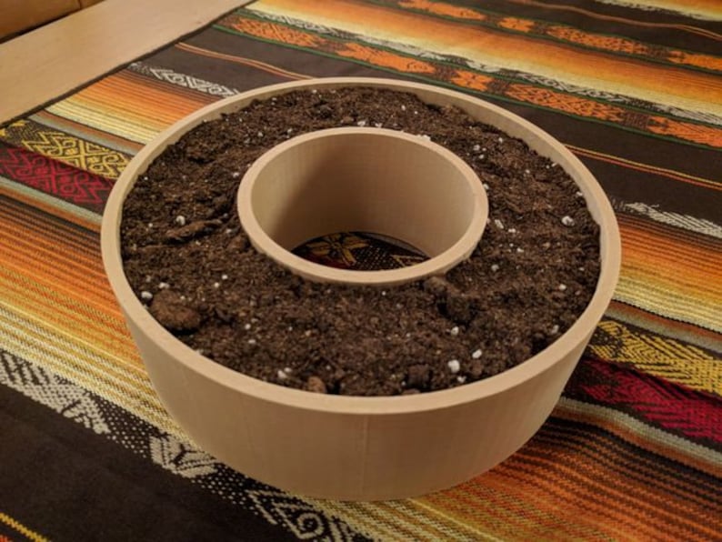 Donut Succulent Pot Succulent Pots Planter Pots Cute | Etsy