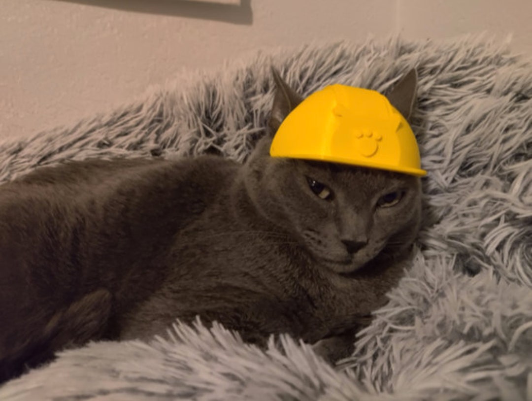 Hard Hat for Cats, Gift for Cat Owners, Gift for Cat Lovers, Cat ...