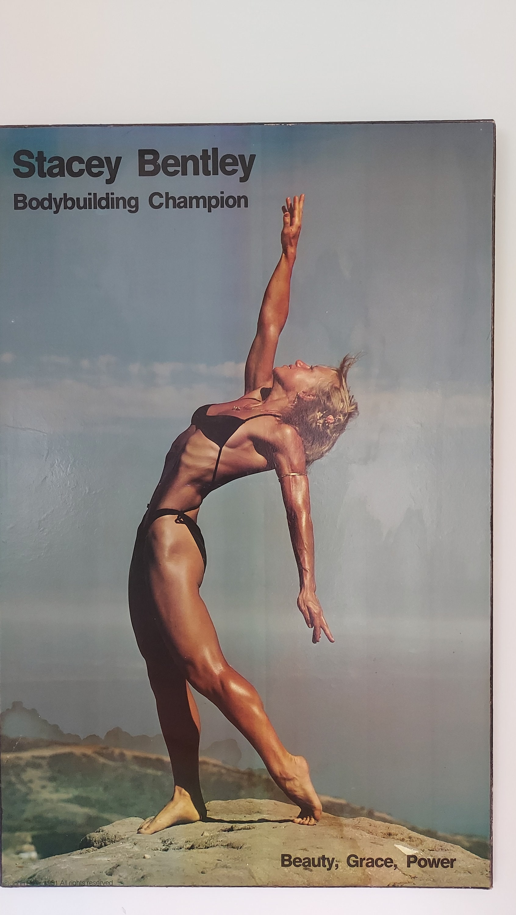 Vintage Stacey Bentley 1981 Body Builder Poster on Board - Etsy