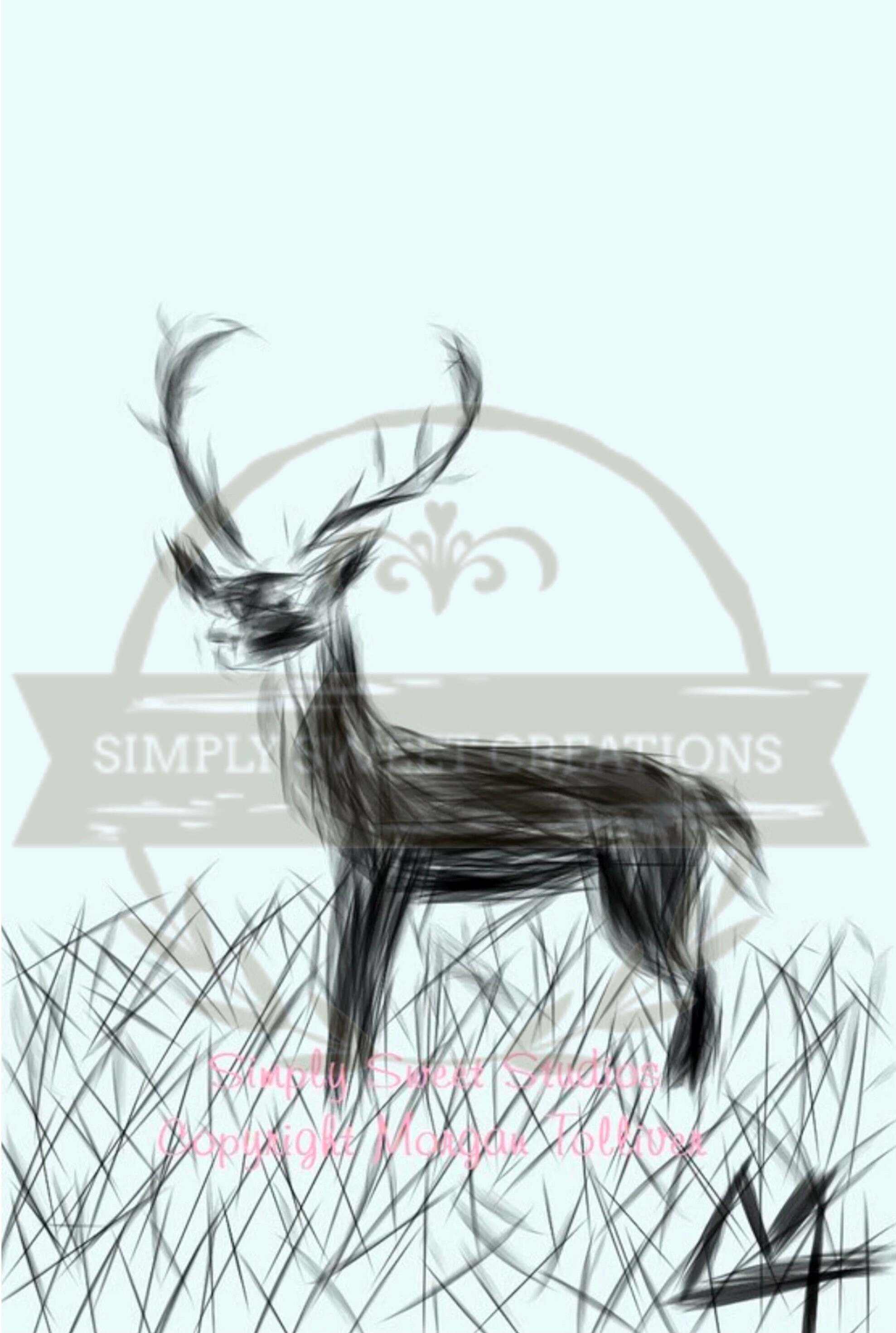 Deer Buck Drawing